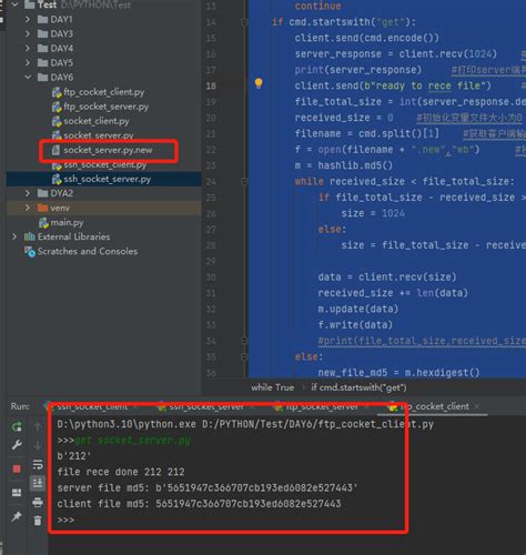 10 Python编程：从入门到实践 Socketandsocketserver 摩天居士 谢烟客 博客园