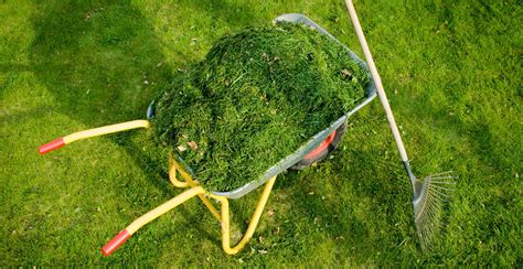 Should You Leave Grass Clippings On A Lawn Expert Opinions Woman And Home