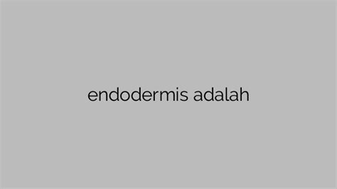 Endodermis Adalah
