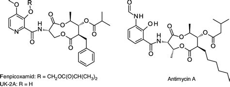 Structures Of Fenpicoxamid Uk 2a And Antimycin A Download Scientific Diagram