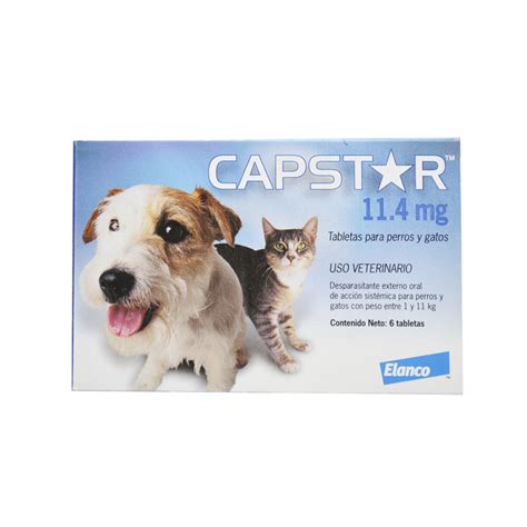 Capstar Effective Time At Irene Brady Blog