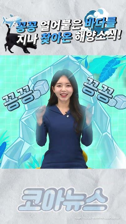 꽁꽁 얼어붙은 바다를 지나 코아뉴스가 걸어다닙니다 꽁꽁얼어붙은한강위로고양이가걸어다닙니다 고양이 한강 Youtube