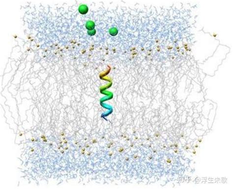 Gromacs蛋白配体分子动力学模拟 知乎