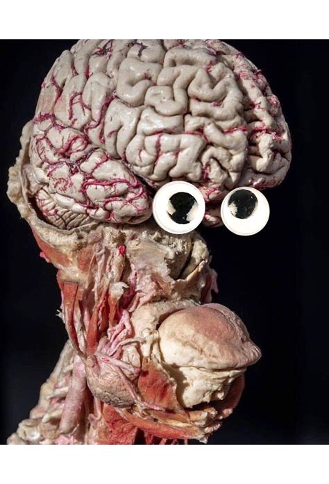 googly album on imgur