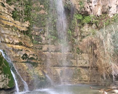 The 10 Best Things To Do In Ein Gedi 2026 Must See Attractions