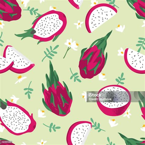드래곤 과일 꽃과 나뭇잎 벡터 여름 패턴입니다 원활한 텍스처 디자인입니다 0명에 대한 스톡 벡터 아트 및 기타 이미지 Istock