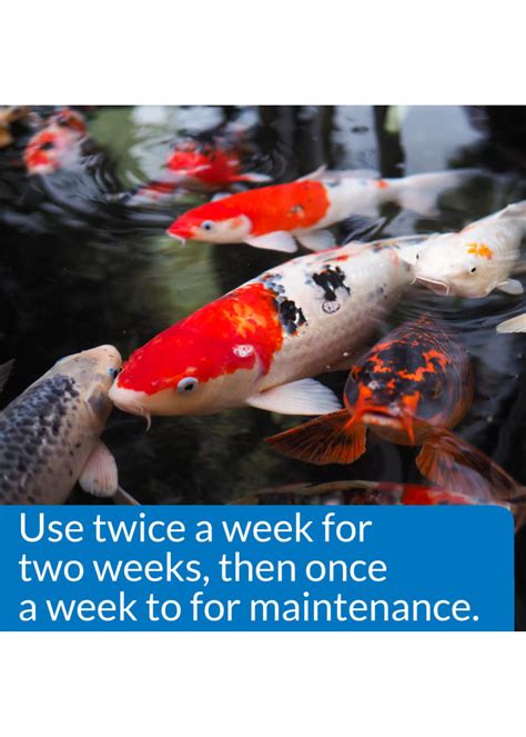 API MICROBIAL ALGAE CLEAN OZ The Hidden Reef Inc