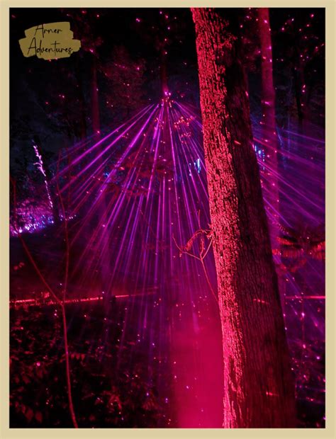 The Ultimate Travel Guide Gatlinburg Tn The Top Things To Do