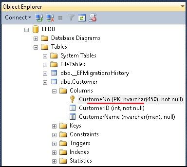 Data Annotations Key Attribute In EF Core Tektutorialshub
