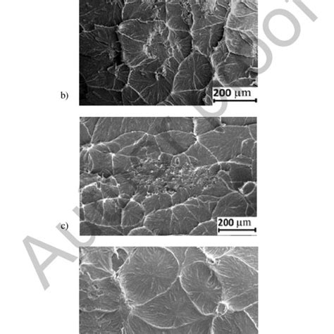 Microphotographs Of The Supramolecular Structure Of Uhmwpe A And Download Scientific Diagram