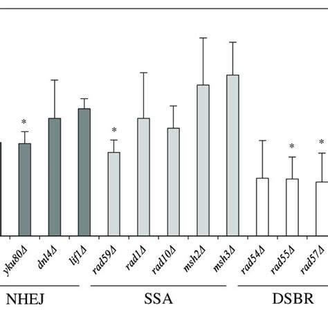 Lithium Acetate Transformation Frequencies Of Yeast Mutant Strains A Download Scientific