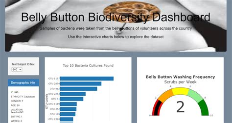 GitHub Jwag Belly Button Dashboard