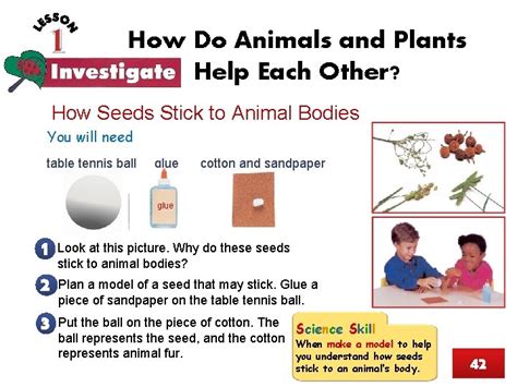 3 Vocabulary Nectar Shelter Fertilize Product Adaptation Camouflage