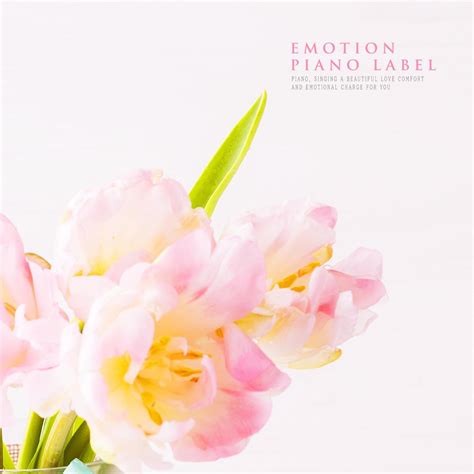 ‎사무실에서 감상하기 좋은 달콤한 힐링 피아노 모음 Various Artists의 앨범 Apple Music