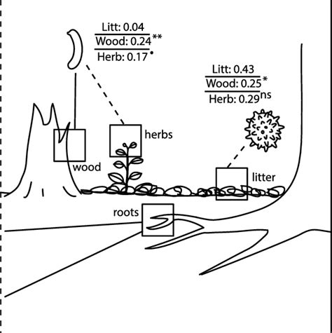 A Schematic Illustration Representing Different Trophic Guilds