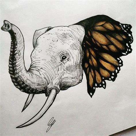 Elefly Butterphant By Paleomc On Deviantart