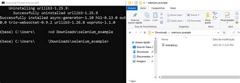 Executando O Selenium Com O Python Em Windows By Wellington Monteiro Medium