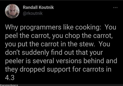 Why Programmers Like Cooking