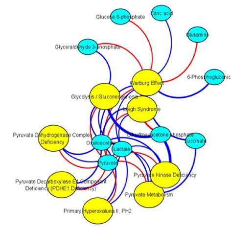 Metabolomics Single Omics Metabolite Pathway Relationship Results A