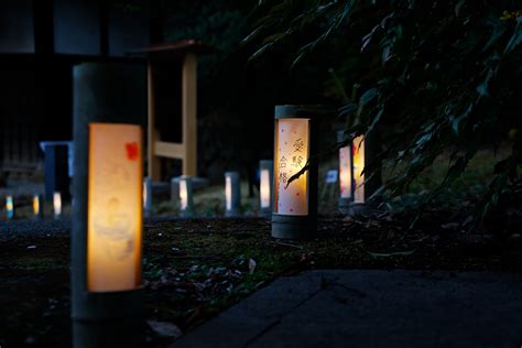 旧富澤家 竹灯籠展示中！【期間限定】 イベント・講座情報 多摩中央公園