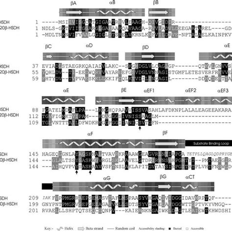 Three Dimensional Structure Based Sequence Alignment Of C Testosteroni
