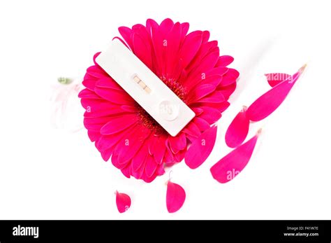 Pregnancy Test Positive Pink At Virginia Morgan Blog