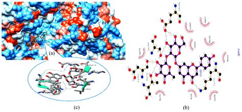 Binding Pose A Along With 2d B And 3d C Analysis Of Molecular