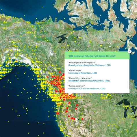 The University Of British Columbia Library