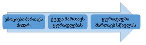 ემოციური რეგულაცია და მისი სწავლების ტიპები Mastsavlebeli Ge