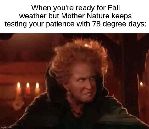 Fall Memes Fall Memes Good Morning Meme Fall Humor