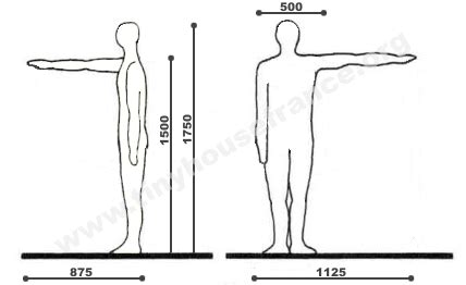 Dimensions Et Ergonomie Tiny House France