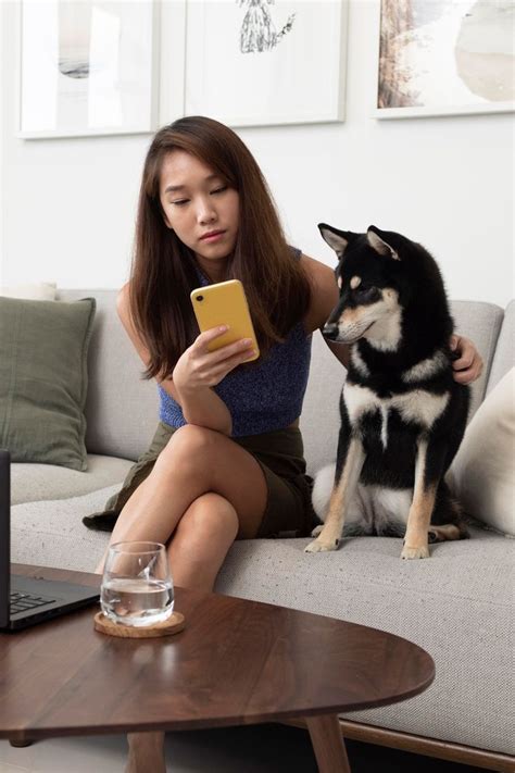 Глисты у собак щенков симптомы лечение в домашних условиях Профилактика глистов у собак