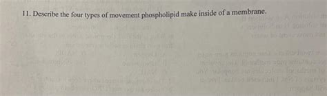 Solved 11 Describe The Four Types Of Movement Phospholipid