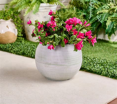 Garden Reflections 13 Round Planter By Sandra