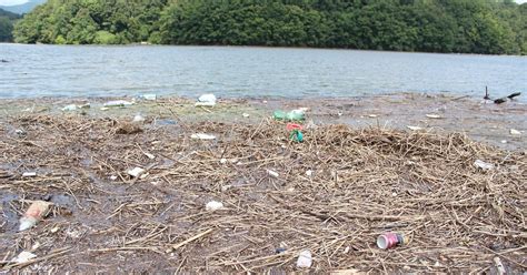 쓰레기 가득 찬 대청호