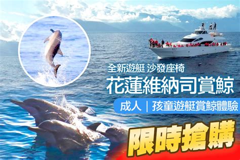 花蓮維納司賞鯨超值優惠方案 Gomaji 懂生活的好麻吉