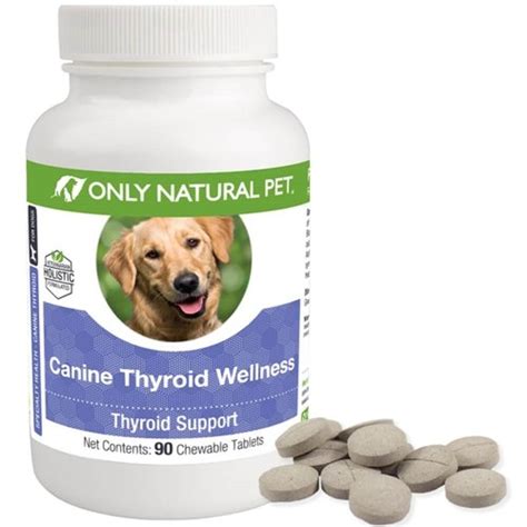 5 Best Thyroid Supplements For Dogs