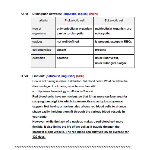 Worksheet Cells The Building Blocks Of Life
