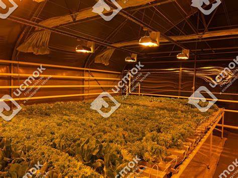 Промышленные и фермерские теплицы под ключ