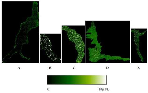 Figure 1 1 From Development And Regional Application Of Sub Seasonal Remote Sensing Chlorophyll
