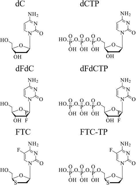 Cytosolic 5′ Nucleotidase Iii And Nucleoside Triphosphate