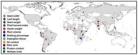 Mapped Ssr Markers That Showed Trait Association Are Represented On