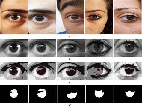 Segmentation Of Some Sample Images From Miche Database Gs4 A Download Scientific Diagram