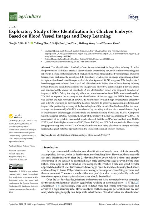 Pdf Exploratory Study Of Sex Identification For Chicken Embryos Based On Blood Vessel Images
