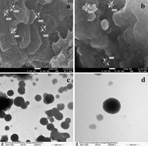 The Structure And Morphology Of Wo3 Nanostructures Were Observed Using