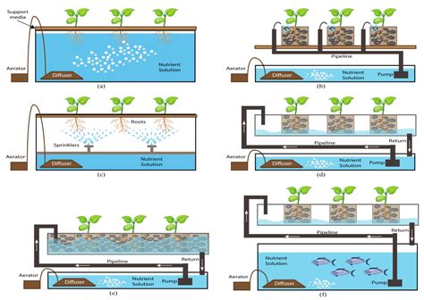 Hydroponics Or Hydroponic Cultivation Concept Characteristics And Use Complete Gardering