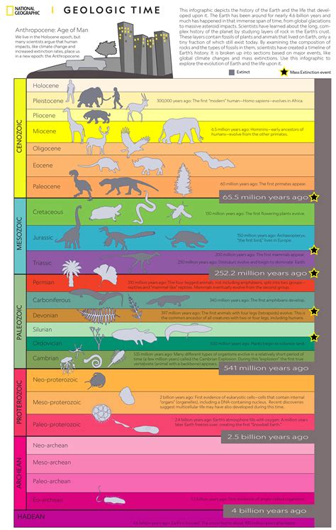 Eras In Earths History Geologic Time And History Of Life On Earth