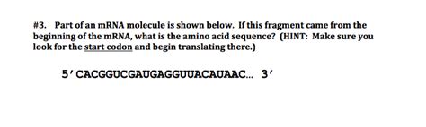 Solved Part Of An MRNA Molecule Is Shown Below If This Chegg
