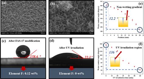 Wettability Characteristics Of The Sample Surface A Micro Scale Download Scientific Diagram