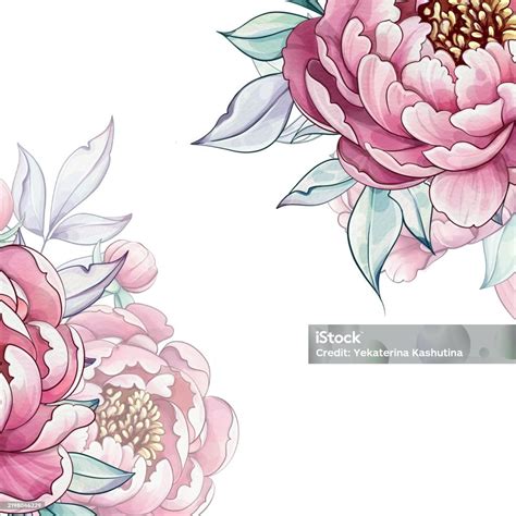 부드러운 분홍색과 흰색 색조의 부드러운 모란이 우아하게 피고 무성한 잎으로 둘러싸여 차분한 봄 분위기를 불러일으킵니다 템플릿 배경 0명에 대한 스톡 벡터 아트 및 기타